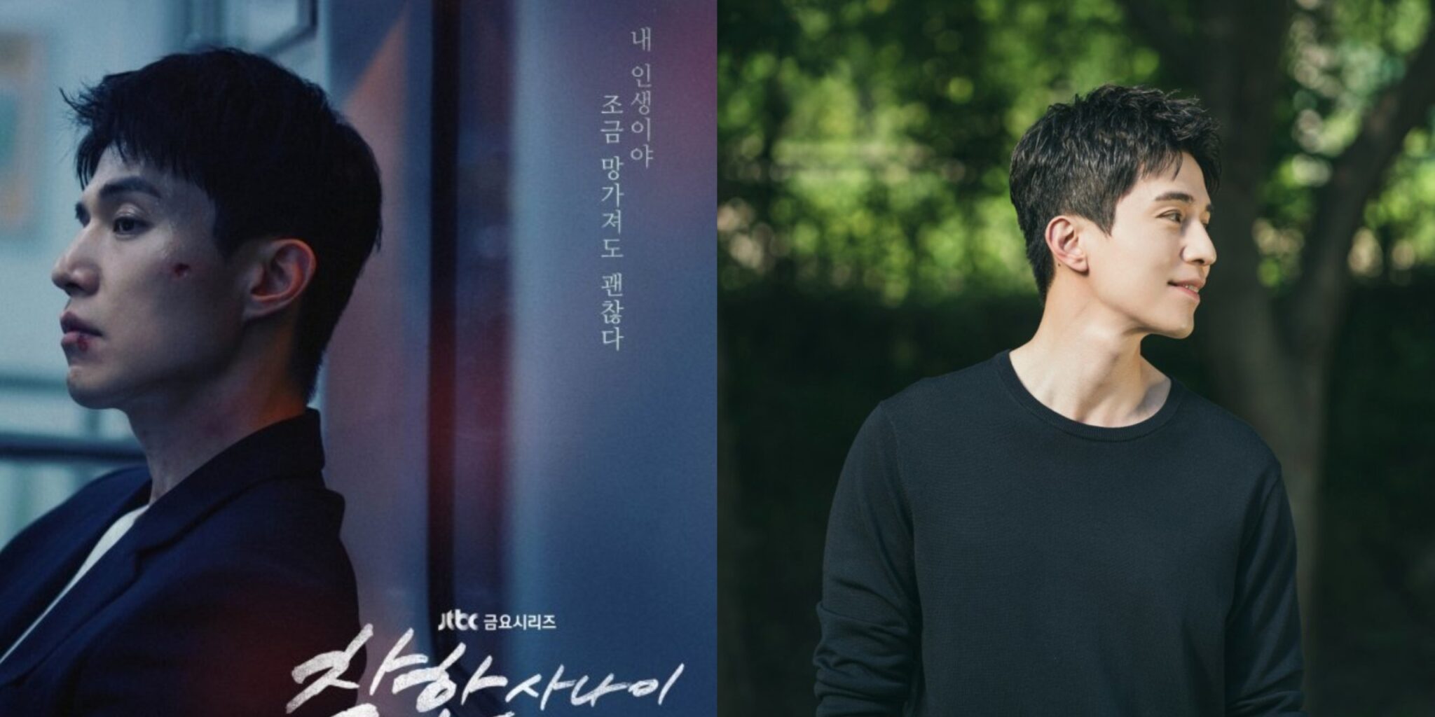 Where to Watch 'The Nice Guy' K-Drama? The Full Streaming Guide ...